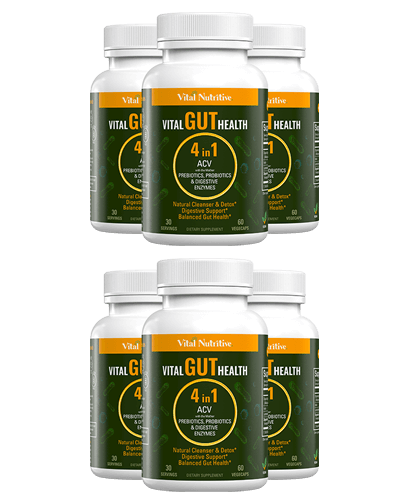 Vital Gut Health 4in1– Vital Nutritive